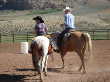 Large Animal Safety Walkthrough 7 - Integrating Safety into Agritourism