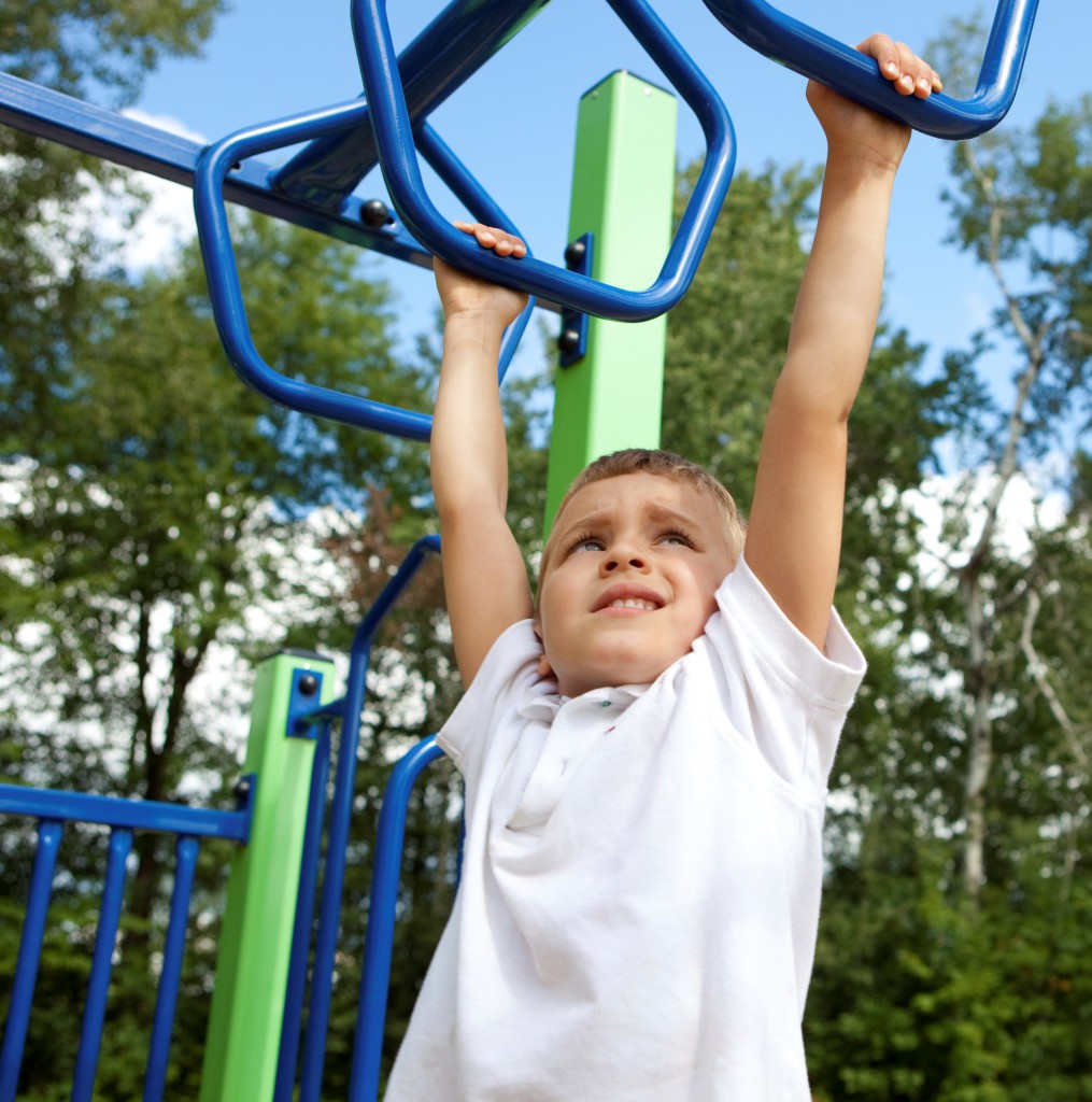 Climbing / Overhead Walkthrough 5 - Integrating Safety into Agritourism