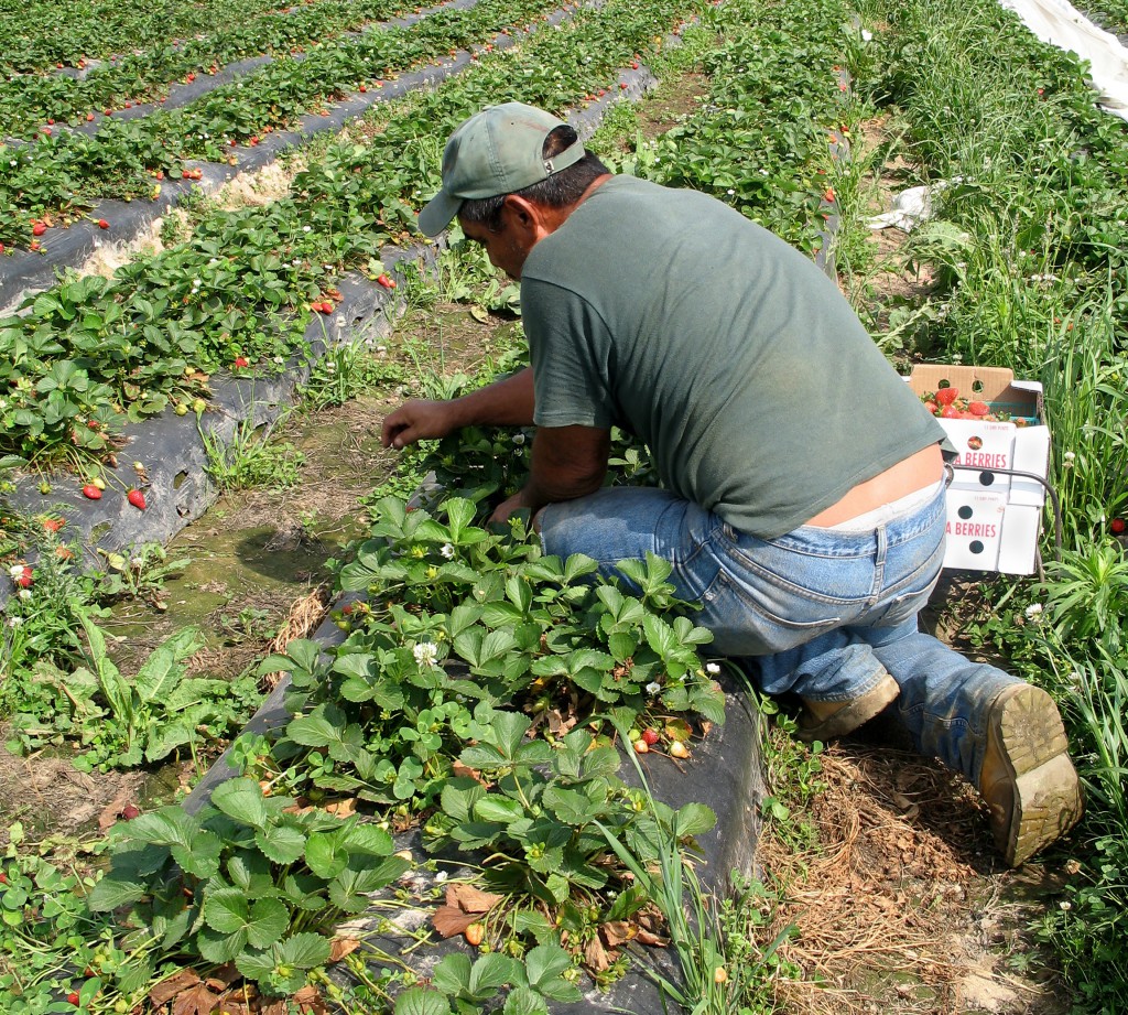 Farmers' Markets Walkthrough 3 - Integrating Safety into Agritourism