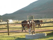 Large Animal Safety Walkthrough 4 - Integrating Safety into Agritourism