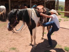 Large Animal Safety Walkthrough 9 - Integrating Safety into Agritourism
