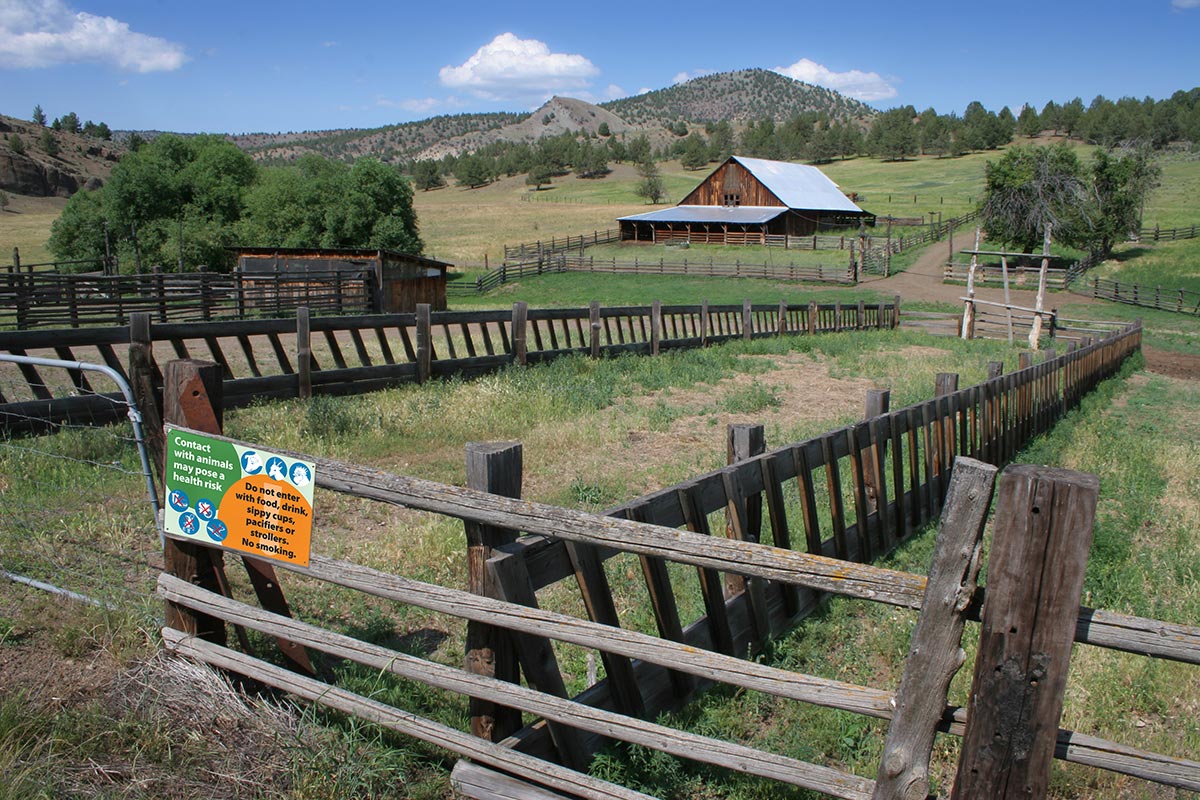 Large Animal Safety Walkthrough 1 - Integrating Safety into Agritourism