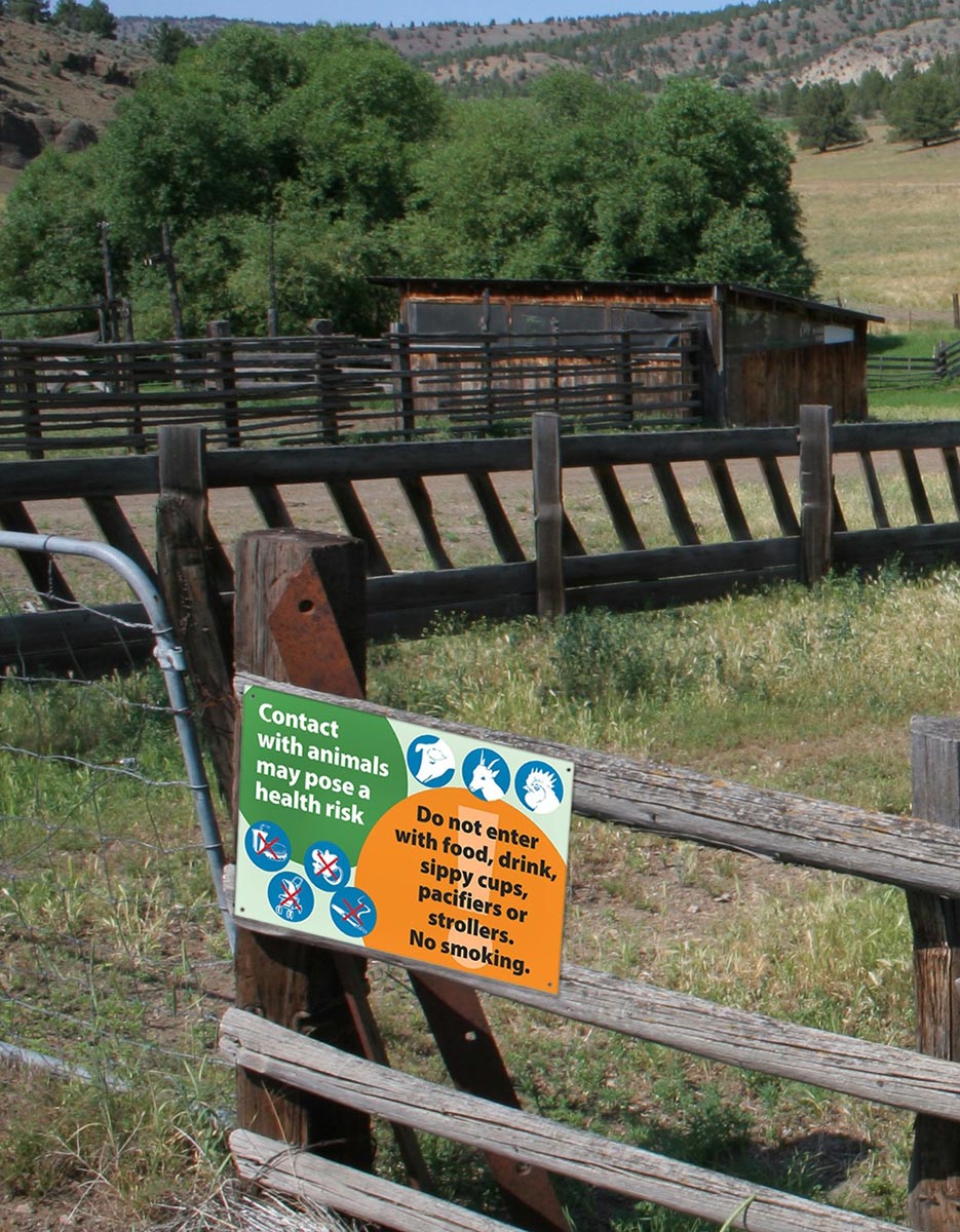 Large Animal Safety Walkthrough 2 - Integrating Safety into Agritourism