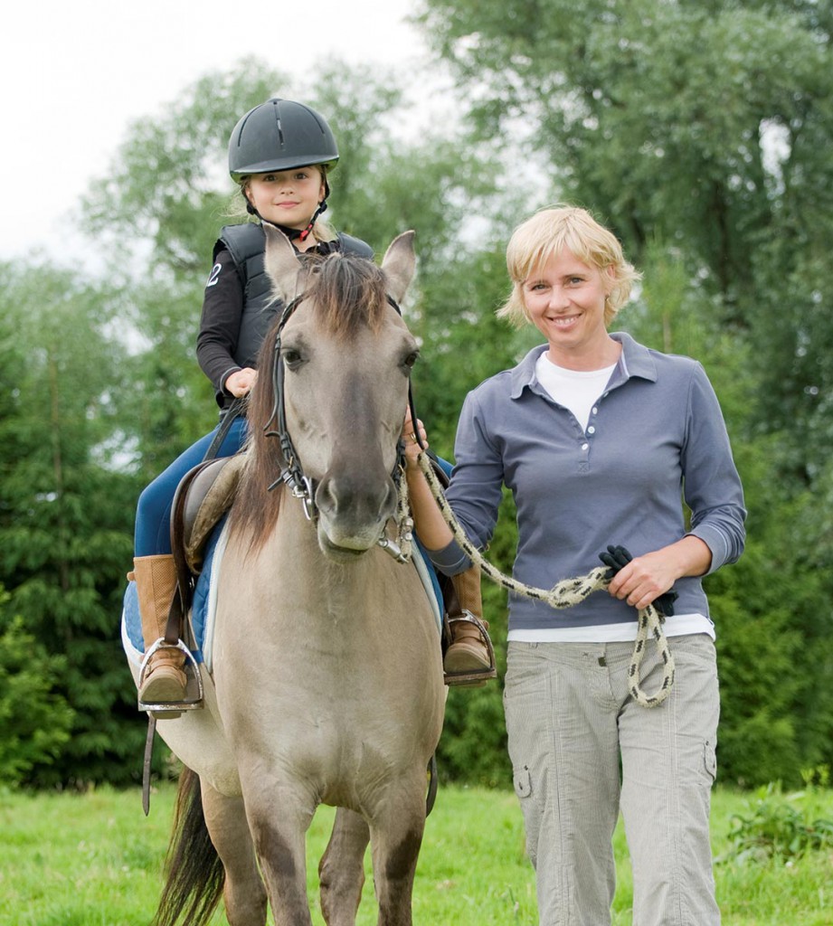 Large Animal Safety Walkthrough 8 - Integrating Safety into Agritourism