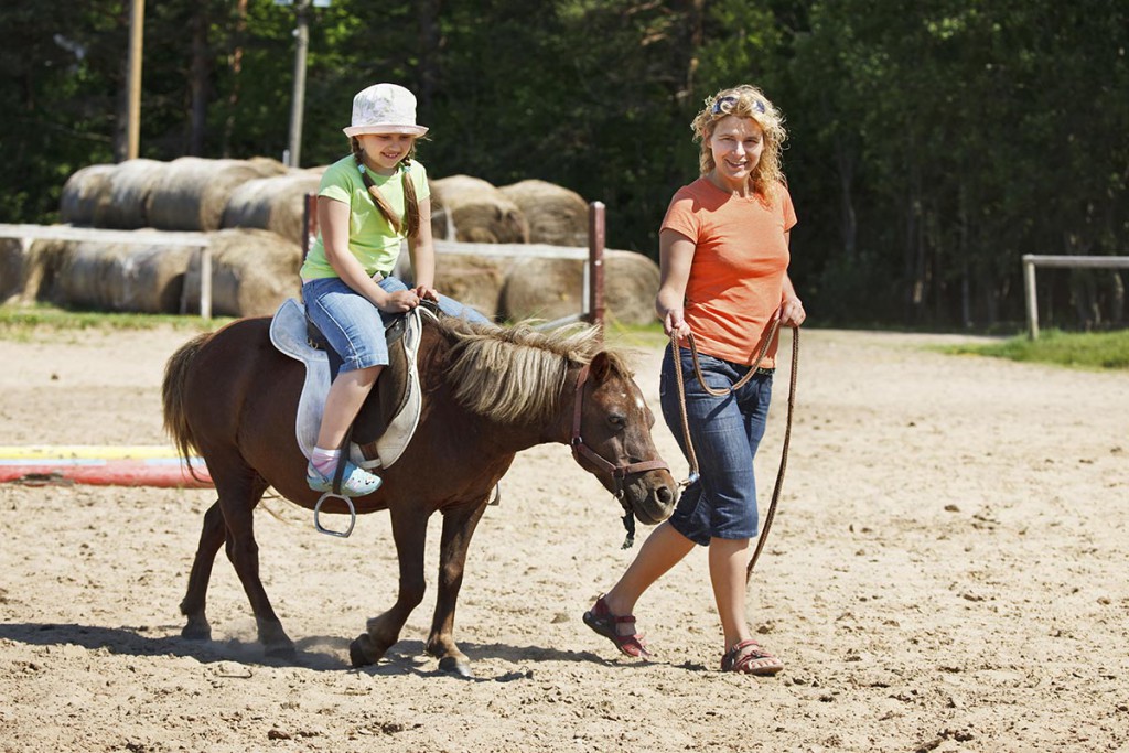 Large Animal Safety Walkthrough 8 - Integrating Safety into Agritourism
