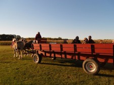 Hayride Safety Walkthrough 1 - Integrating Safety into Agritourism