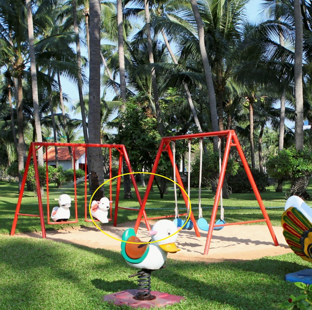 Equipment Do’s & Don’ts Walkthrough 4 - Integrating Safety into Agritourism